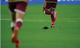 ‘A plague of liars’: what caused the disastrous pitches at Copa América ...