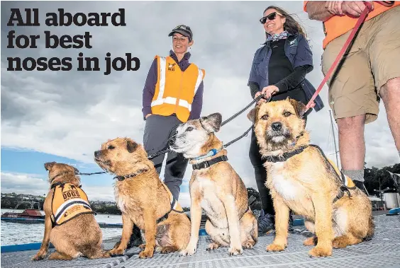 All aboard for best noses in job - PressReader