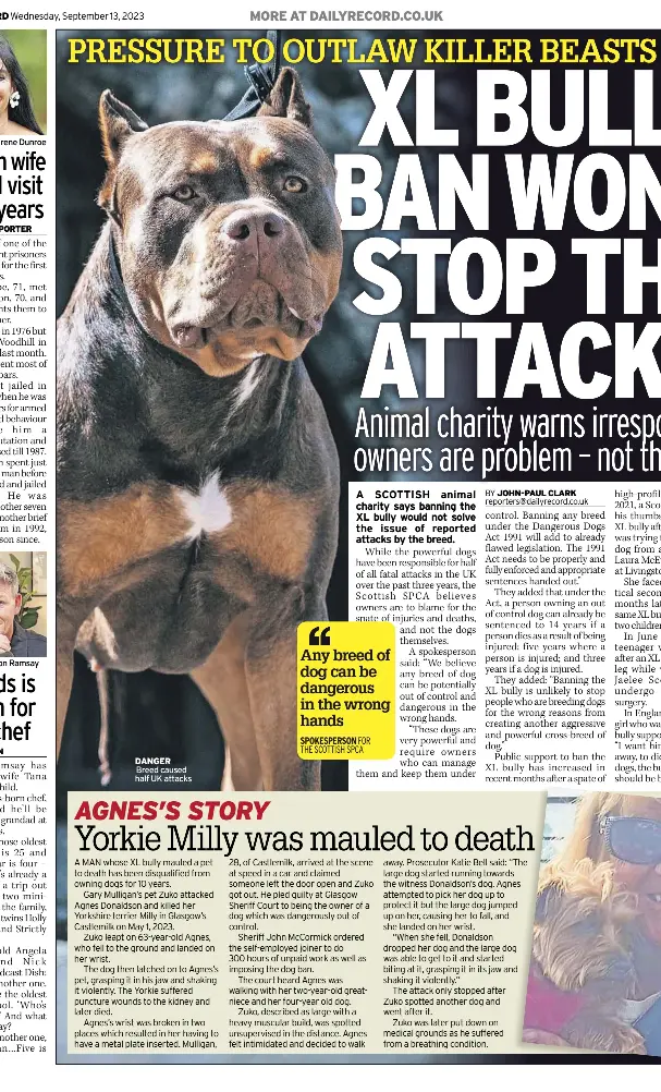XL BULLY BAN WON’T STOP THE ATTACKS - PressReader