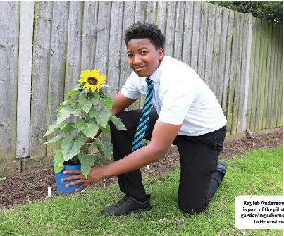 ‘Kids love it when they realise fruit will grow’ - PressReader