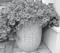 To avoid mixed-container stress, go mono-a-mono - PressReader