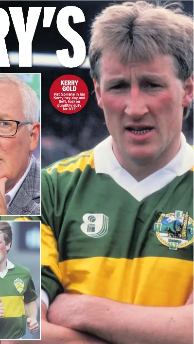 KERRY’S HIGH KING - PressReader