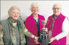 Bridge by the river in Fermoy - PressReader