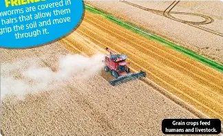 Earthworms are doing their bit - PressReader