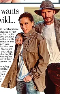 Becks wants to go wild... - PressReader