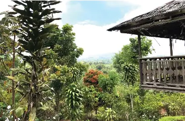 Bagobo Cultural Village - PressReader