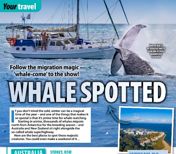 WHALE SPOTTED - PressReader
