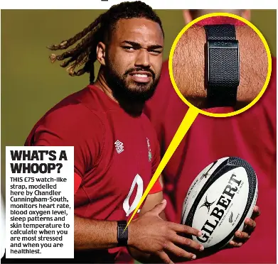 Our secret weapons: Saunas, Whoop bands & sleeping competitio­ns! - PressReader