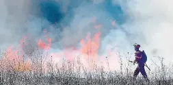 RBG to conduct controlled burns at Cootes Paradise - PressReader