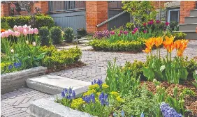 TLC FOR SPRING BULBS - PressReader