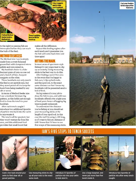 How to catch tench all day long on lakes - PressReader