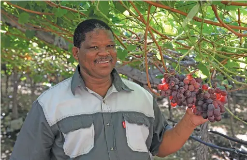 Raising capital remains a headache for emerging farmers - PressReader