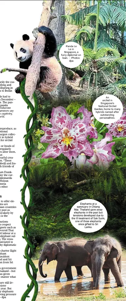 Diplomacy with a twist - PressReader