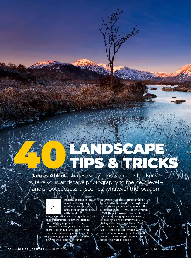 40 TIPS LANDSCAPE & TRICKS - PressReader