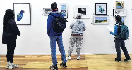 Art show to give aid to new uni department - PressReader