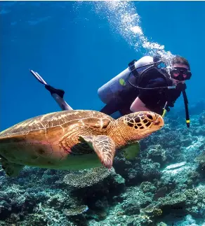 Tengah Island—luxury With a Good Cause - PressReader