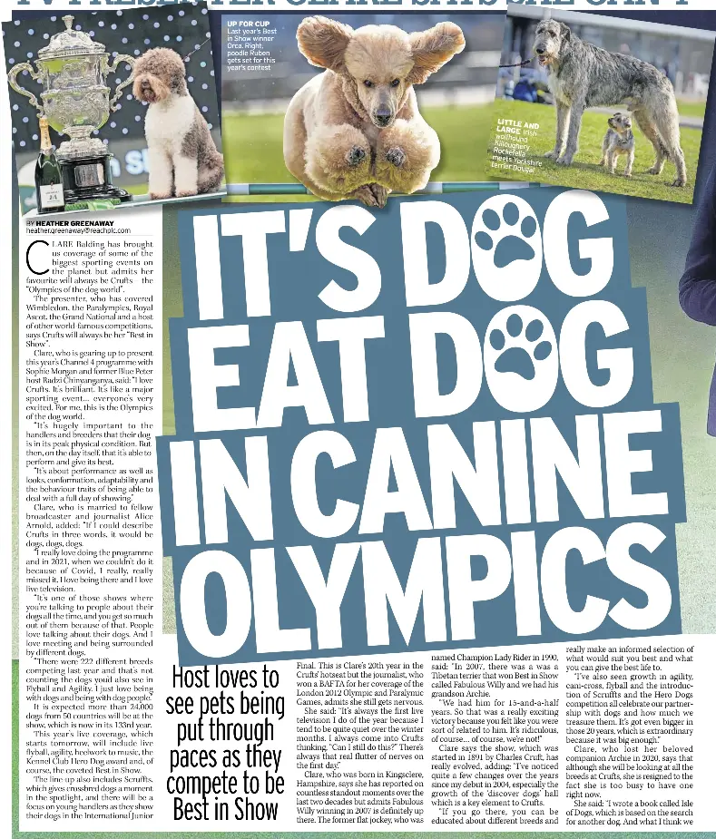 IT’S DOG EAT DOG IN CANINE OLYMPICS - PressReader
