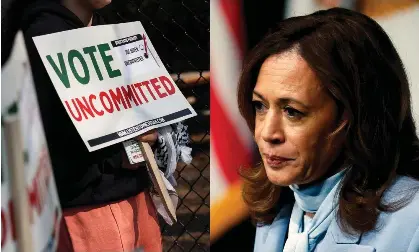 Progressiv­es must walk a fine line: end the war in Gaza and elect Harris - PressReader