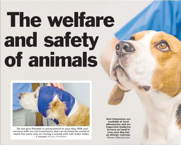 The welfare and safety of animals - PressReader