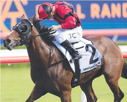 Sorry, too busy to let them eat cake - PressReader