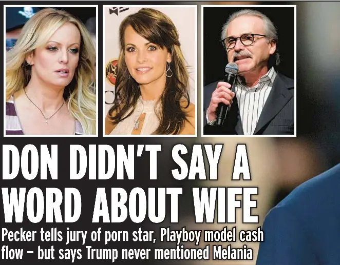 DON DIDN’T SAY A WORD ABOUT WIFE - PressReader