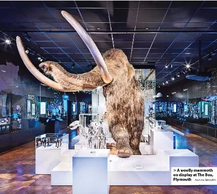 Museum looks to build on its million successes - PressReader