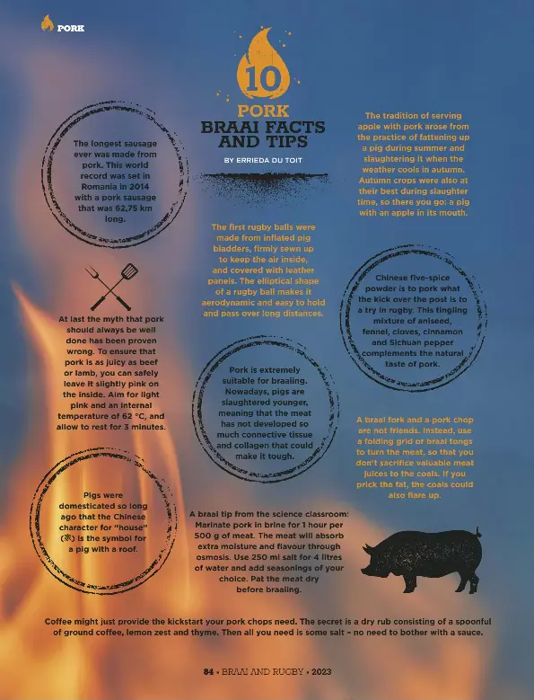 10 PORK BRAAI FACTS AND TIPS - PressReader