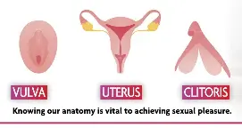 Anatomy of PLEASURE - PressReader