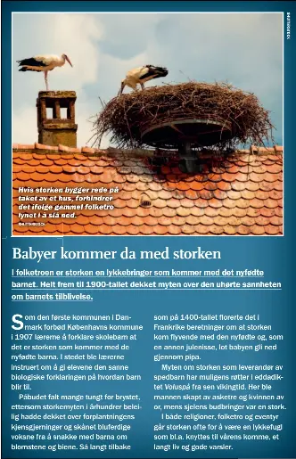Babyer kommer da med storken - PressReader