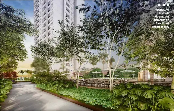 oasis particular - PressReader