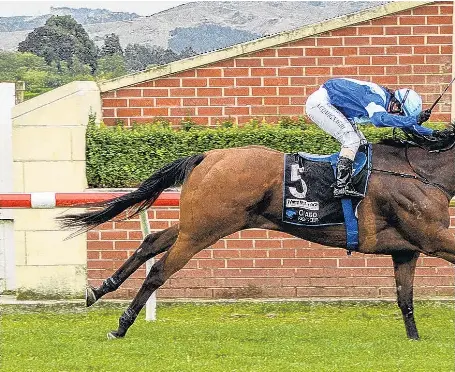 Comignaghi, Parsons stable dominant - PressReader