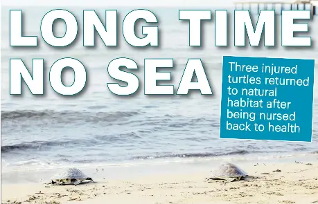 LONG TIME NO SEA - PressReader