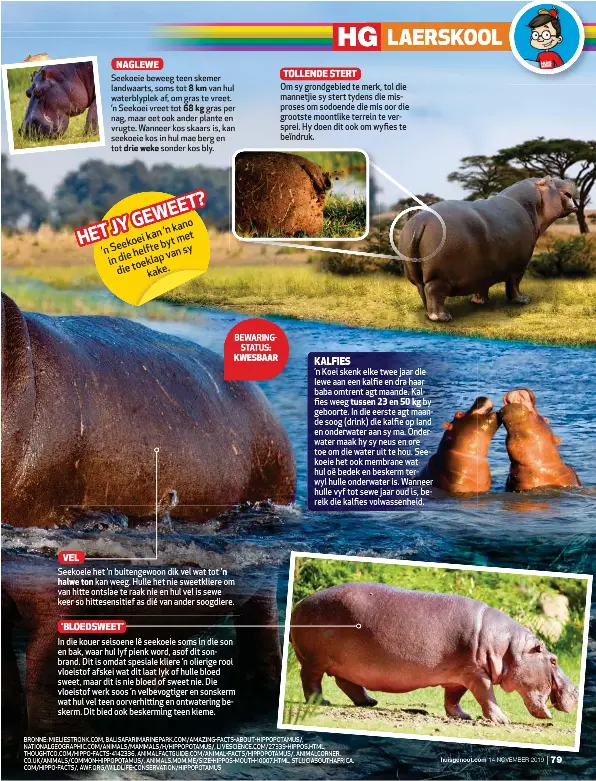 Die seekoei: Infografik­a - PressReader