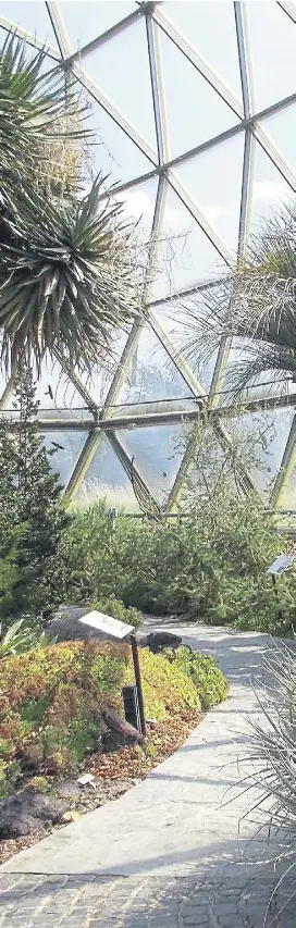 Natural world is inter-connected but mankind is breaking bonds - PressReader