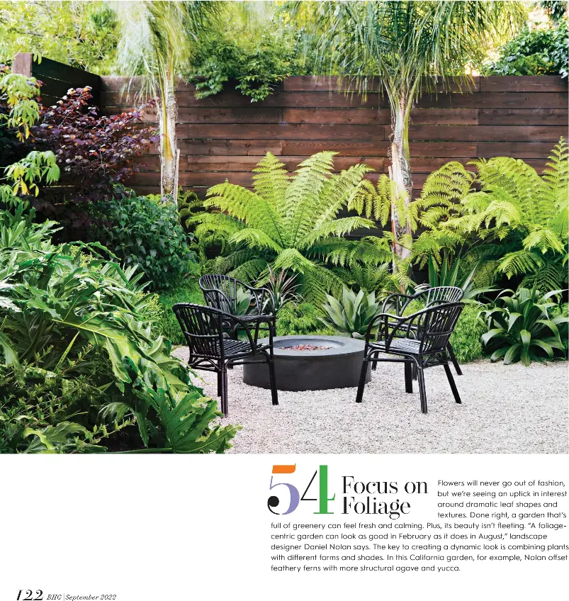 54 Focus on Foliage - PressReader