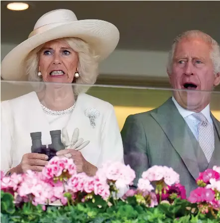 Oh no! King’s Ascot horse comes fifth - PressReader