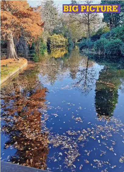 A LOAD OF HOGWASH - PressReader