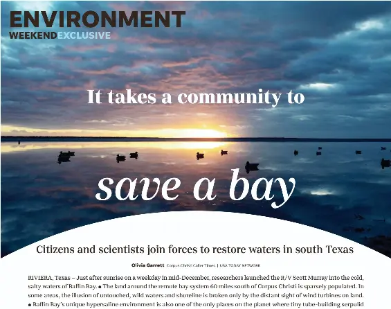 It takes a community to save a bay - PressReader