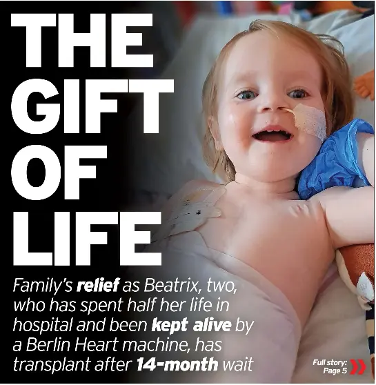 THE GIFT OF LIFE - PressReader
