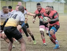 EP want all-inclusive Currie Cup Premier Division - PressReader