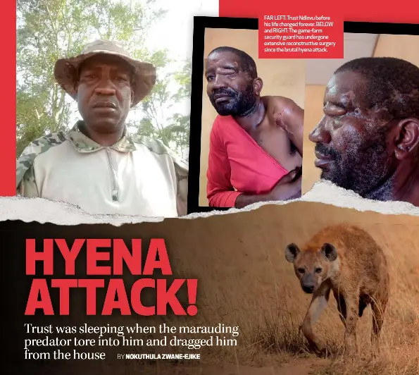 HYENA ATTACK! - PressReader