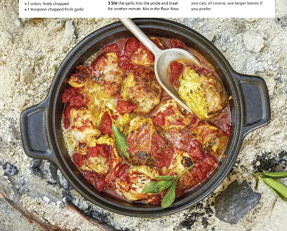 CABBAGE MEATBALLS WITH TOMATO - PressReader