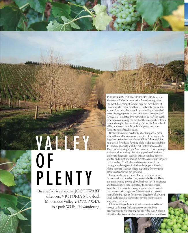 ON THE MENU - PressReader