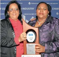 Sapref wins two BEE awards - PressReader