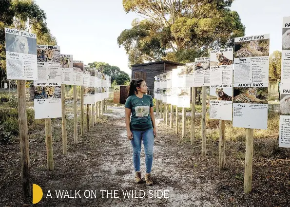 A WALK ON THE WILD SIDE - PressReader