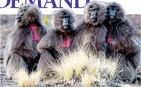 TVON DEMAND - PressReader