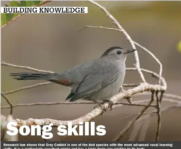 Song skills - PressReader