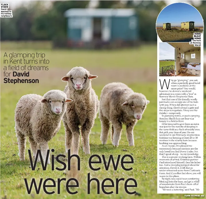 Wish ewe were here - PressReader