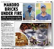 BRICK BY BRICK - PressReader