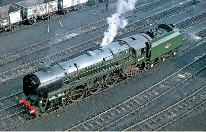 STANDARD GREEN - PressReader